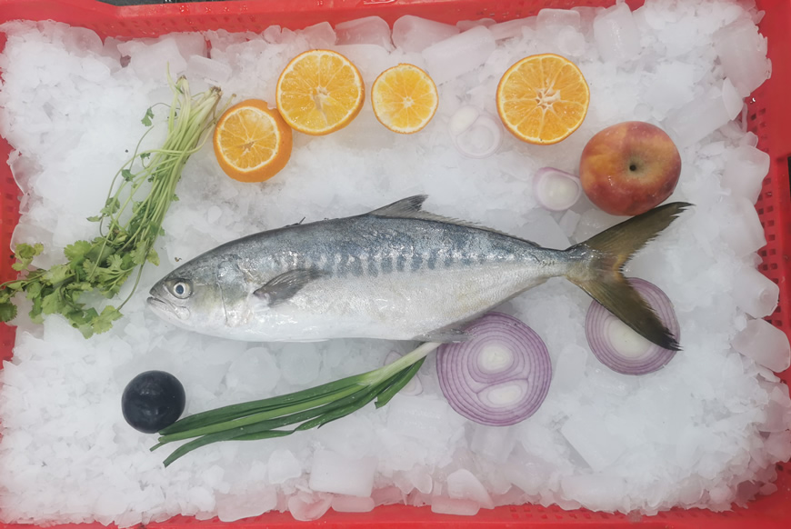 maruitania sea food sarl